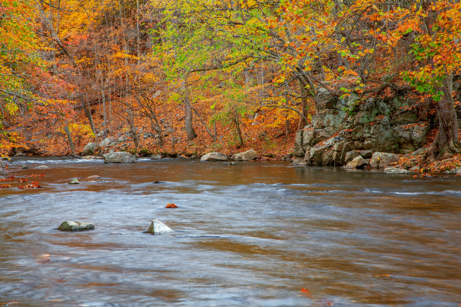 Chester Valley Trail extension spotlights connection to Norristown’s ...